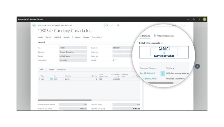 The Microsoft Dynamics Navision interface - EASY SOFTWARE